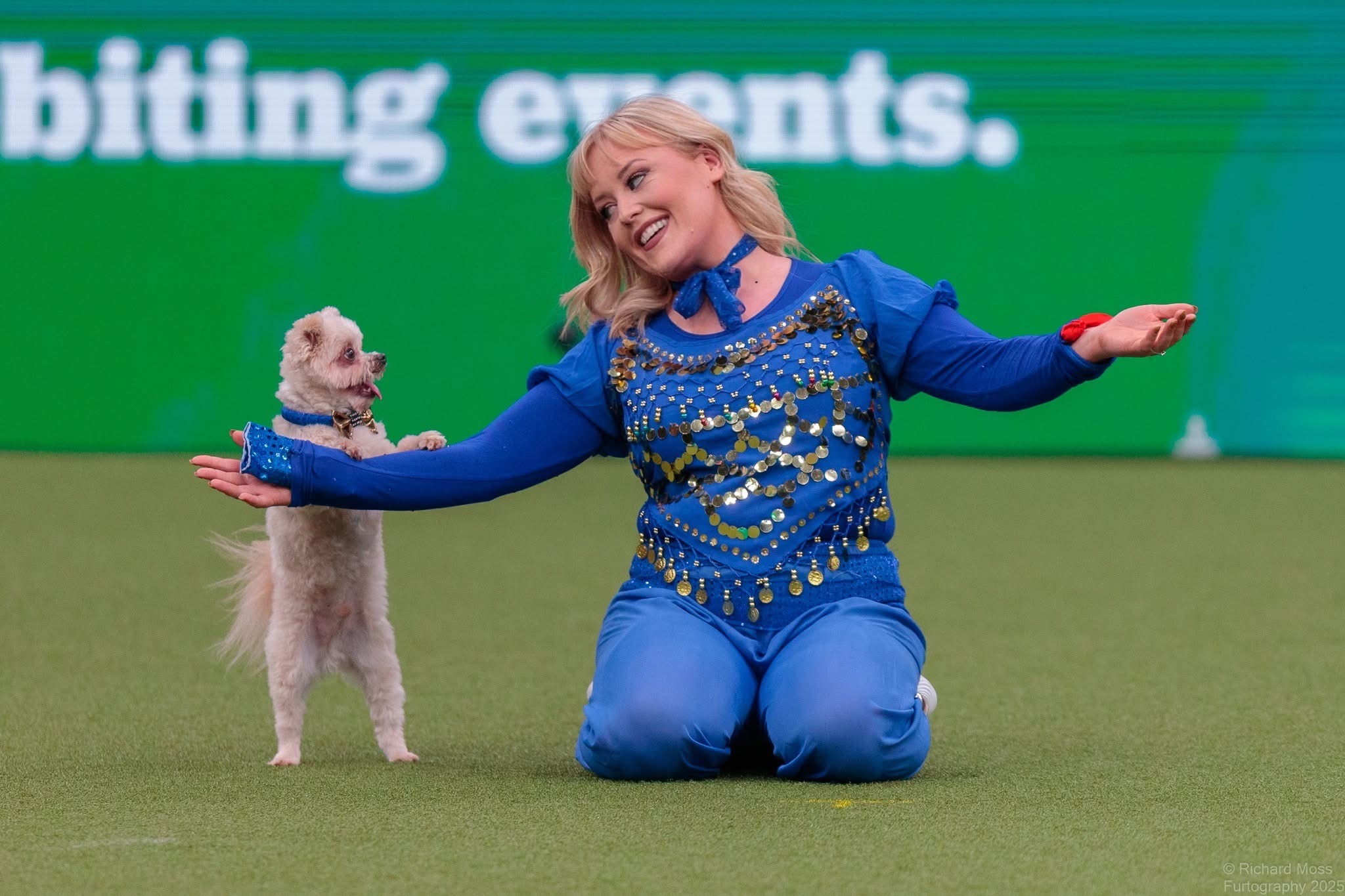 Watch Amazing Performances at The Big Bark – Included in Tickets